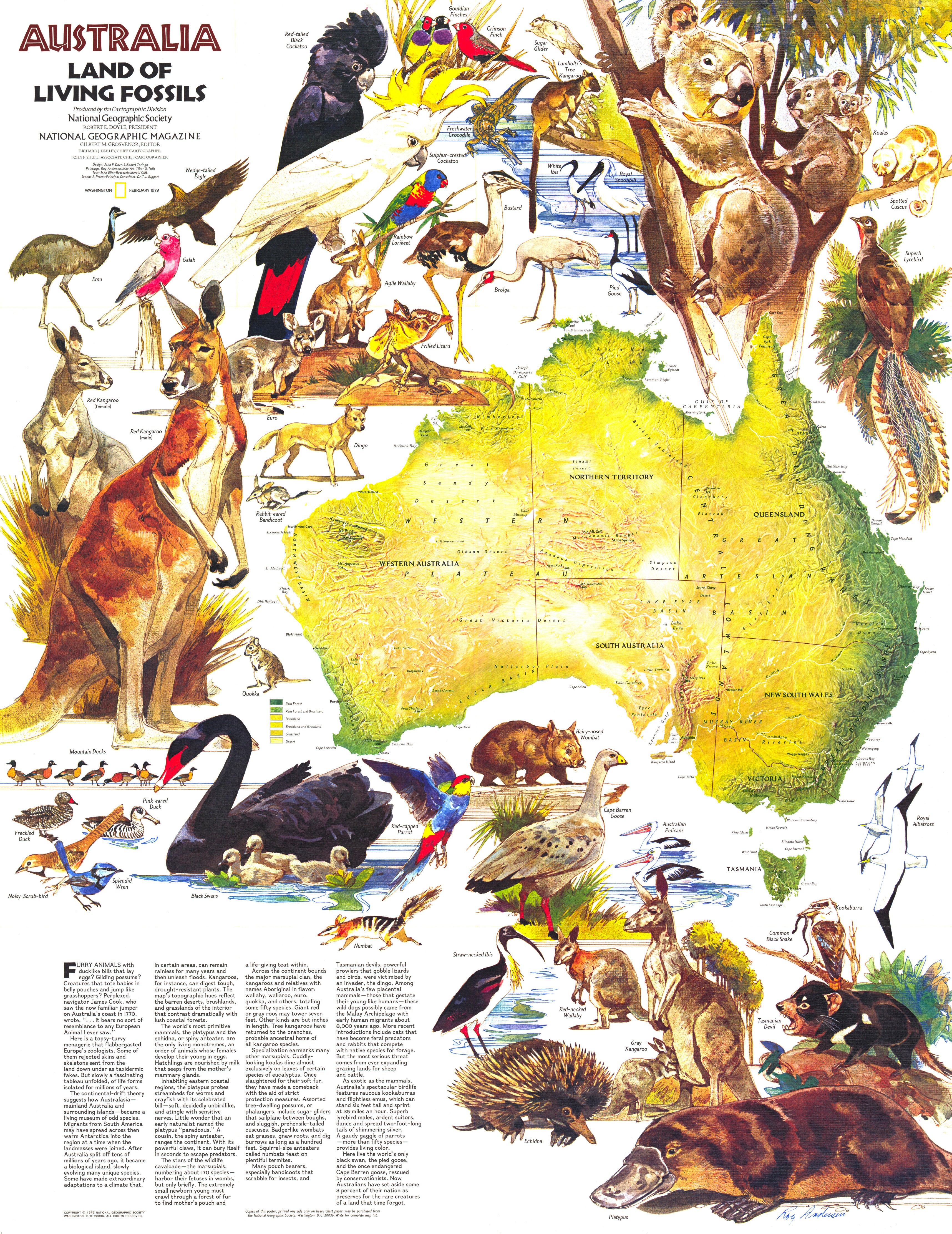 Australia, Land of Living – National Geographic | Mapworld
