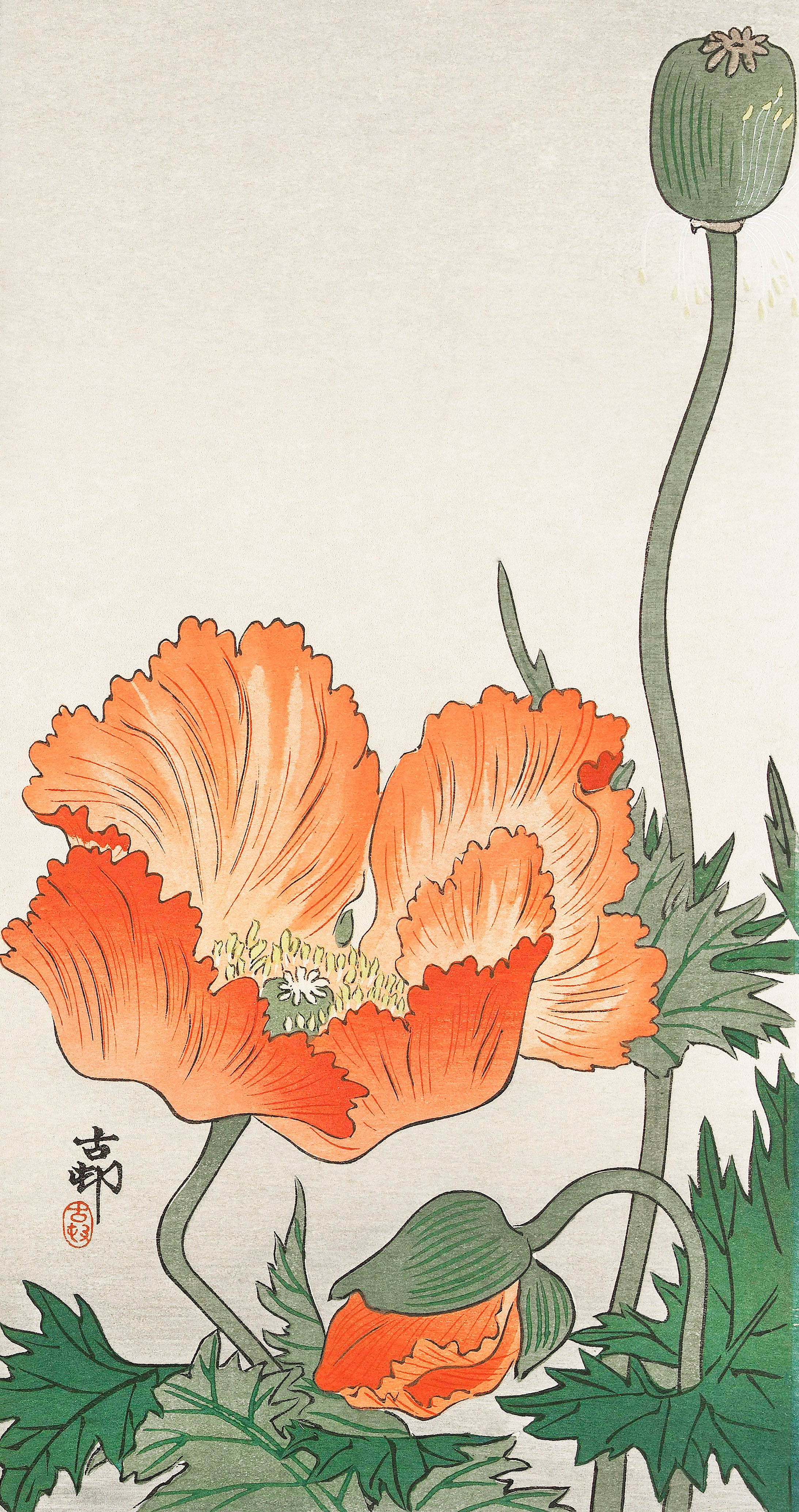 Birds and plants (1900 - 1936) by Ohara Koson | Mapworld