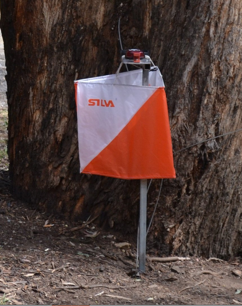 SILVA Control Flag 30 x 30cm, Buy Orienteering Control Flag - Mapworld